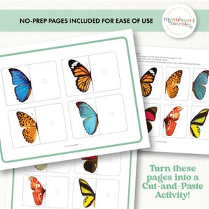 BUTTERFLY Symmetry Puzzles | Montessori Inspired Visual Activity ...