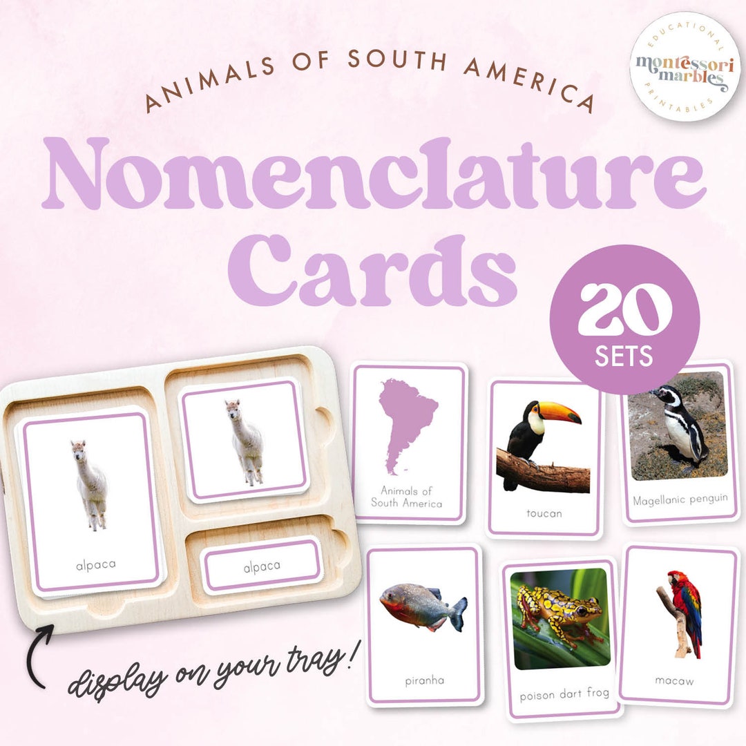 South America Animals Cards | Montessori Geography | Nature-based ...