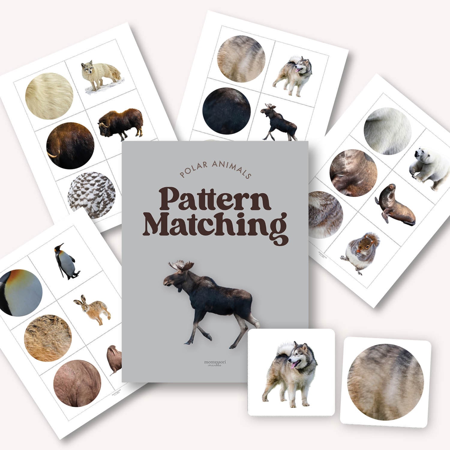 Polar Animals Pattern Matching | Montessori Science | Visual ...