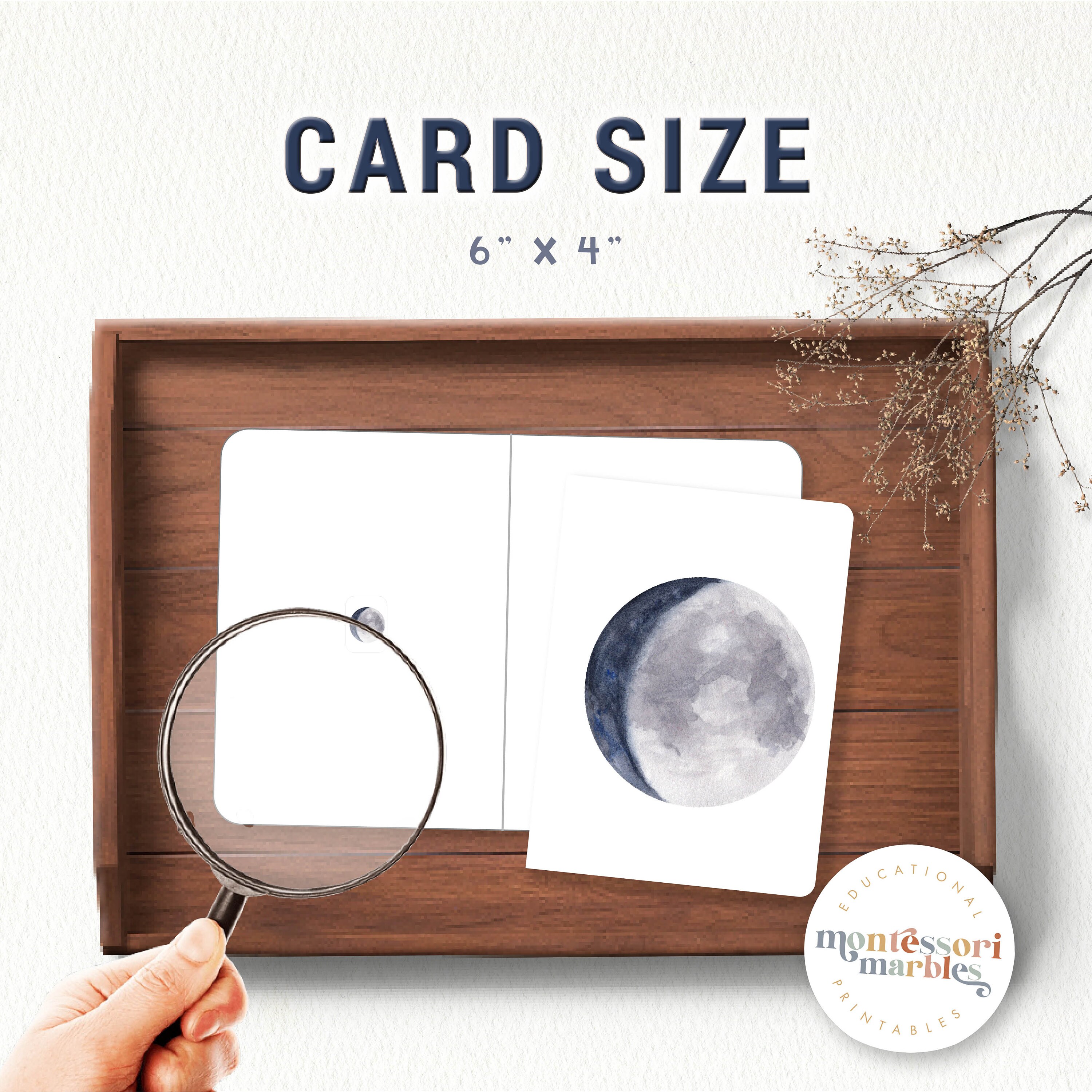 Moon Phases Matching Game | Montessori Science | Lunar Cycle Elementary ...