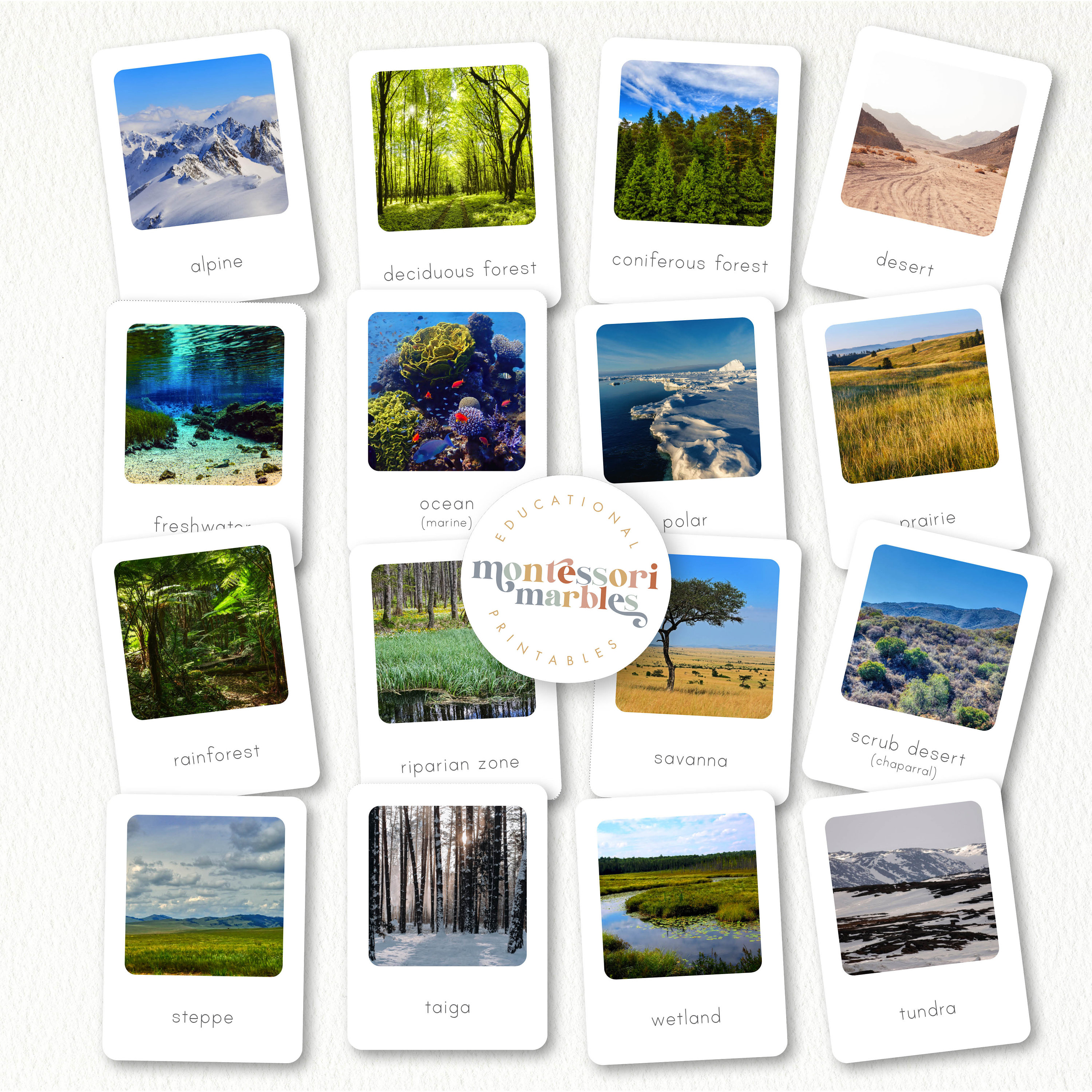 Biomes 3-part Cards | Montessori Geography | Real Photo 3-part Cards ...
