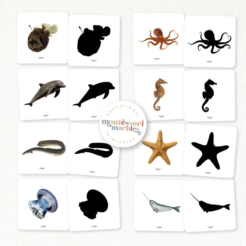 Ocean Animals Shadow Matching Game | Montessori Science | Visual Skills ...