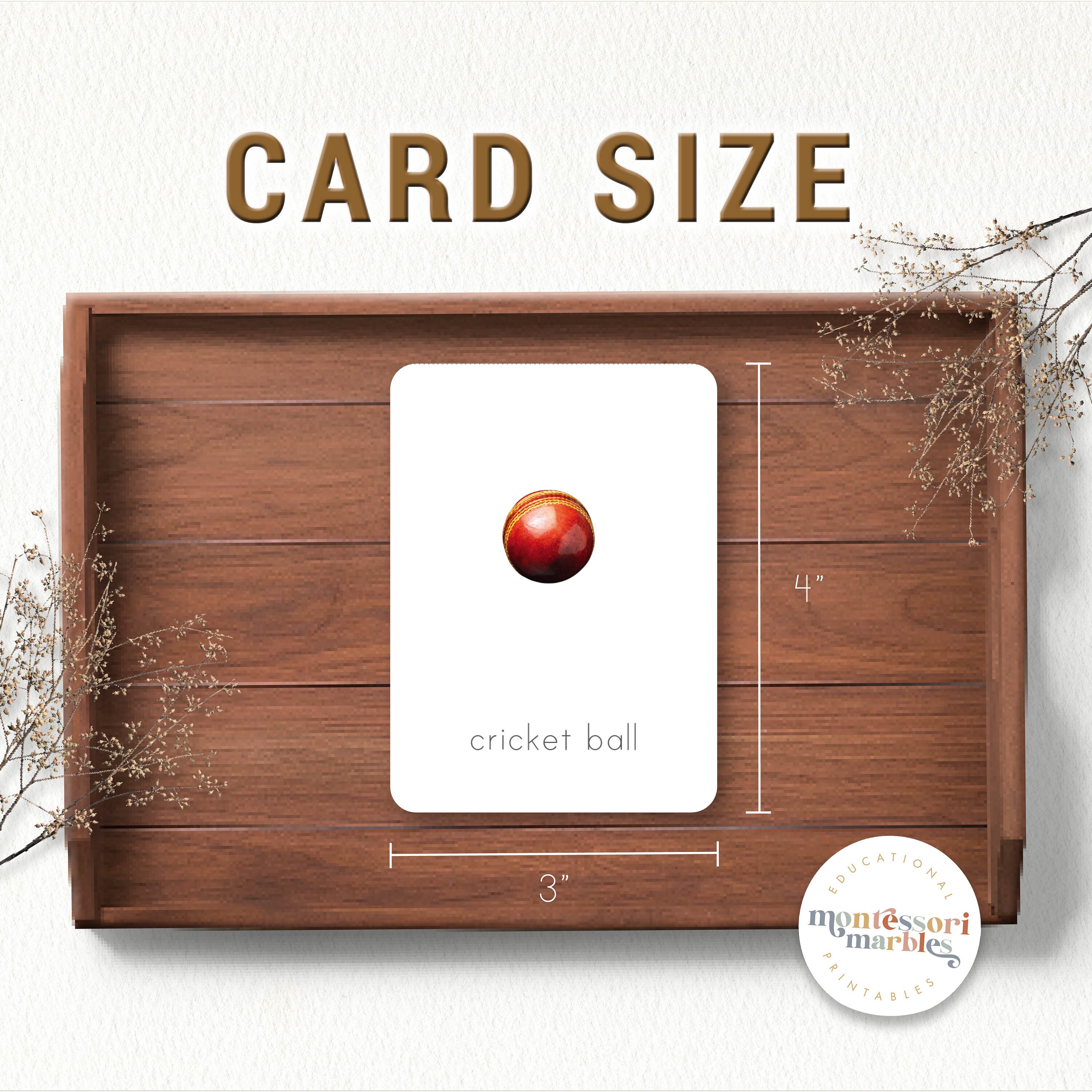 Ball Sports Flash Cards | Montessori Sports Nomenclature | Kids ...