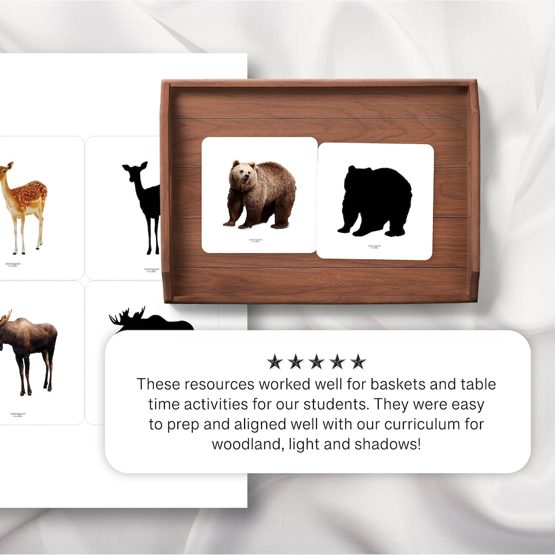 WOODLAND ANIMALS Shadow Matching Montessori Inspired - Etsy