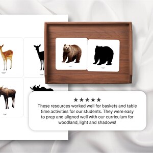 WOODLAND ANIMALS Shadow Matching Montessori Inspired Silhouette ...