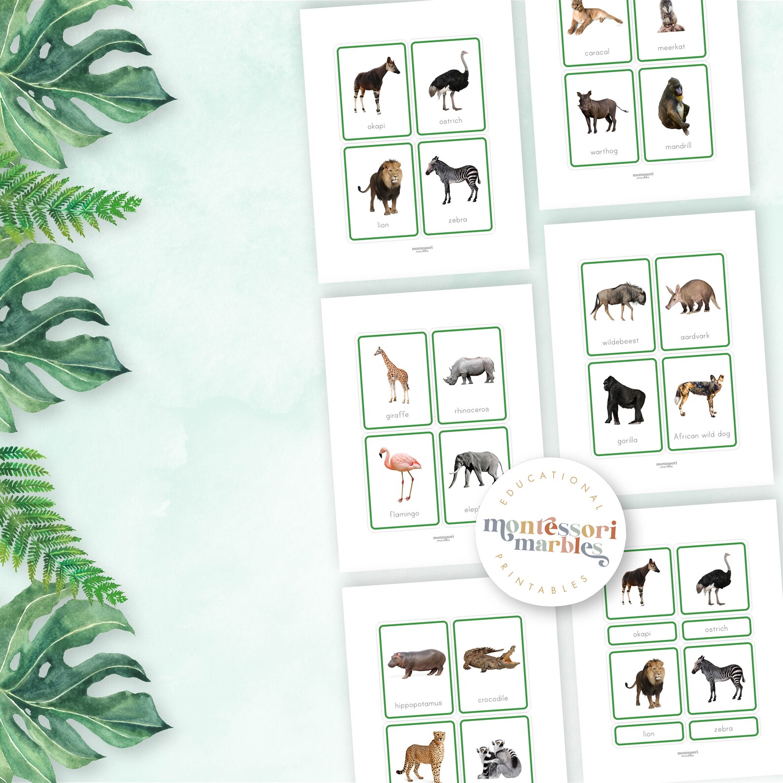 ANIMALS OF AFRICA Montessori Nomenclature Cards Nature-based Learning ...