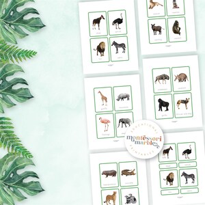ANIMALS OF AFRICA Montessori Nomenclature Cards | Nature-based Learning ...