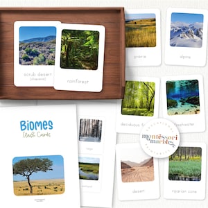 BIOMES Flash Cards | Montessori Inspired Cards | Social Studies ...