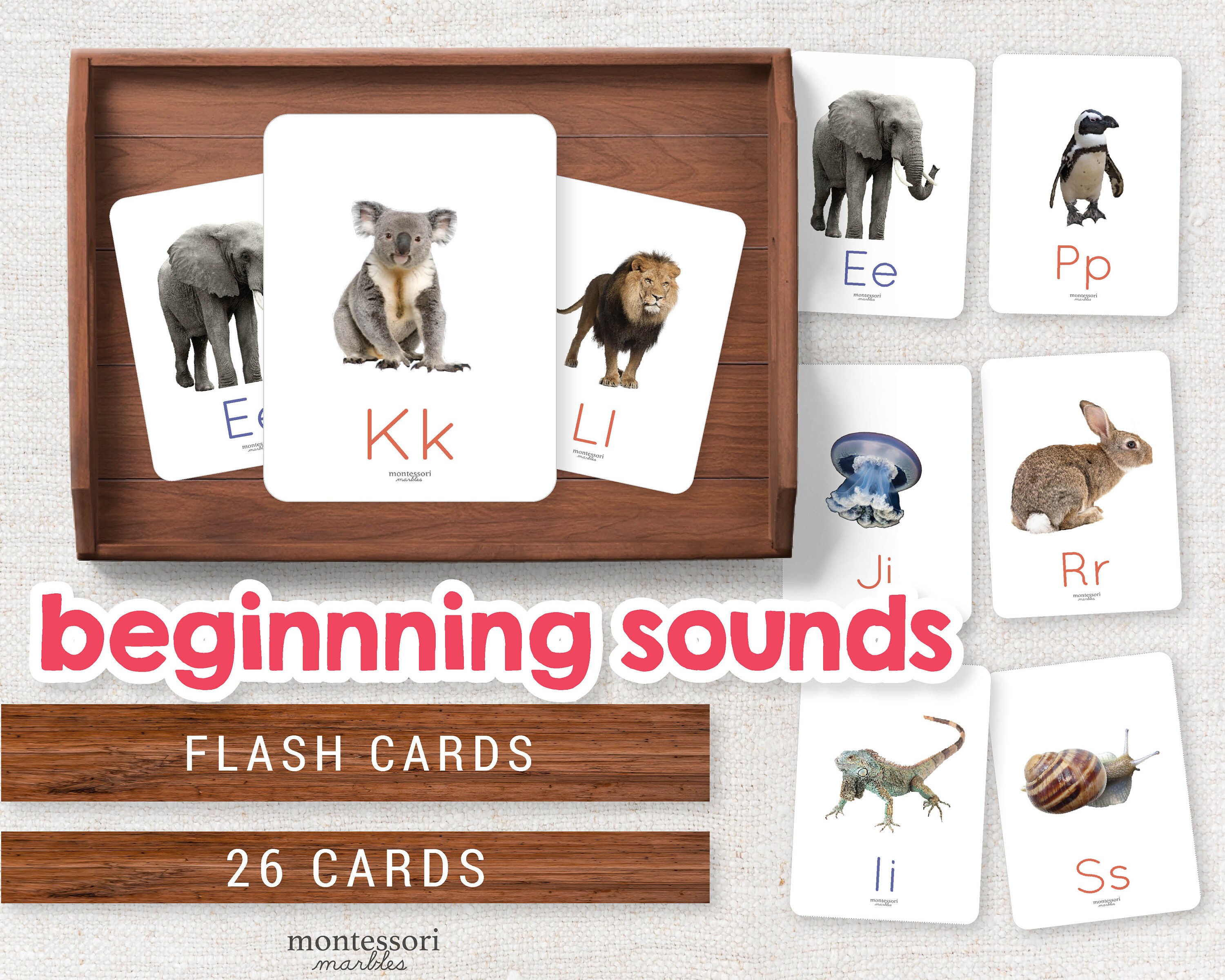 BEGINNING SOUNDS Flash Card Montessori Phonics Vocabulary - Etsy