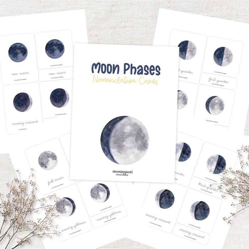 CURSIVE MOON PHASES Montessori Nomenclature Cards Montessori | Etsy
