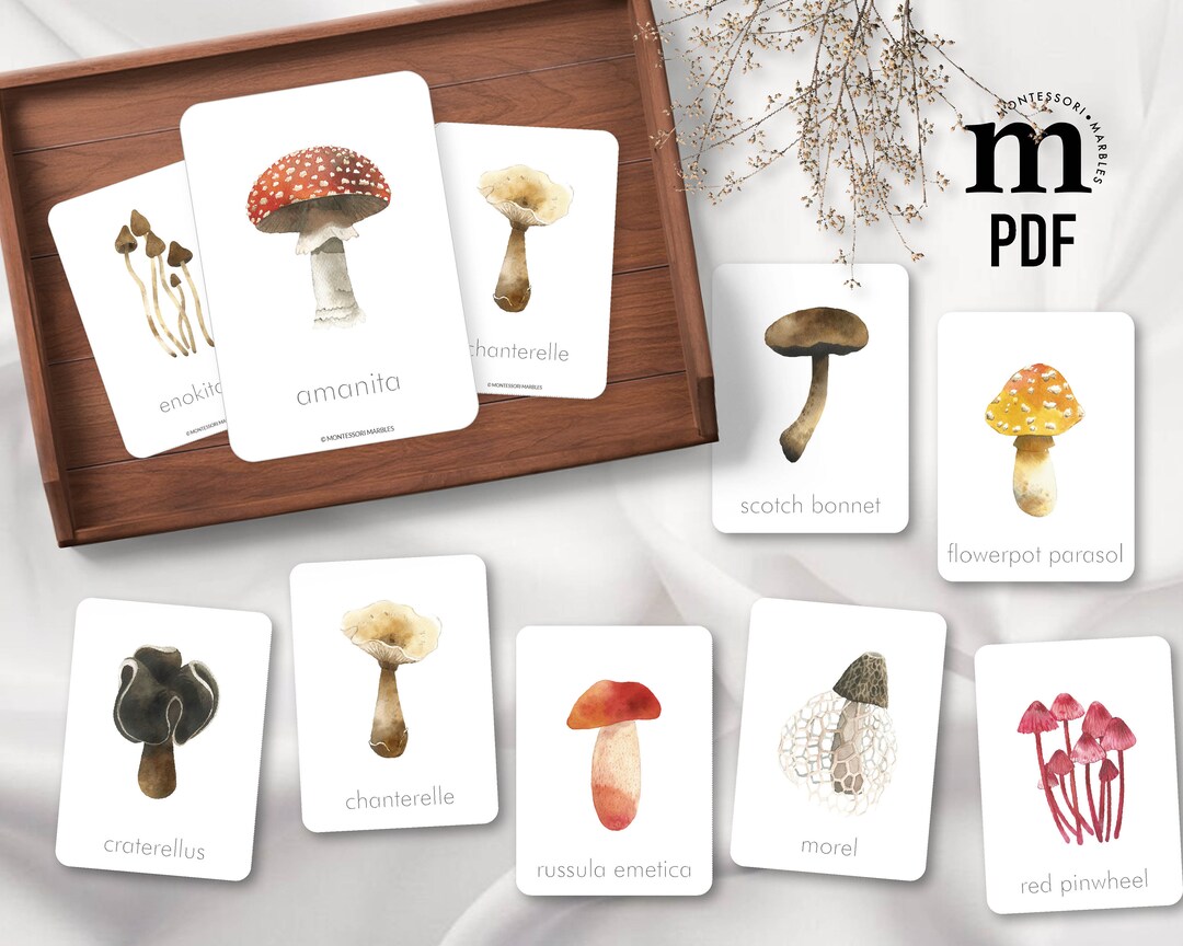 MUSHROOM Flash Cards Montessori Inspired Fall Autumn - Etsy