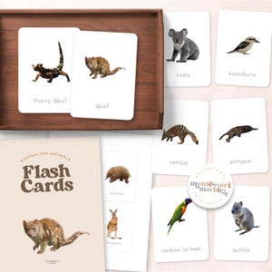 AUSTRALIAN ANIMALS Flash Cards | Montessori Inspired Learning Resources ...