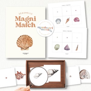 SEASHELLS Magnifying Matching Game | Montessori at Home Using ...