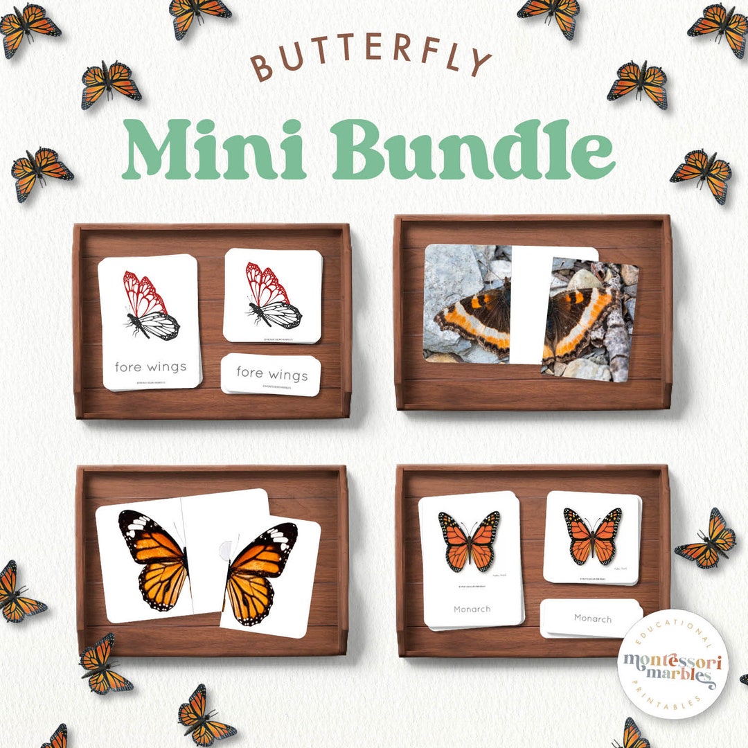 BUTTERFLY Mini Bundle | 4 Sensory and Fine Motor Activities for ...