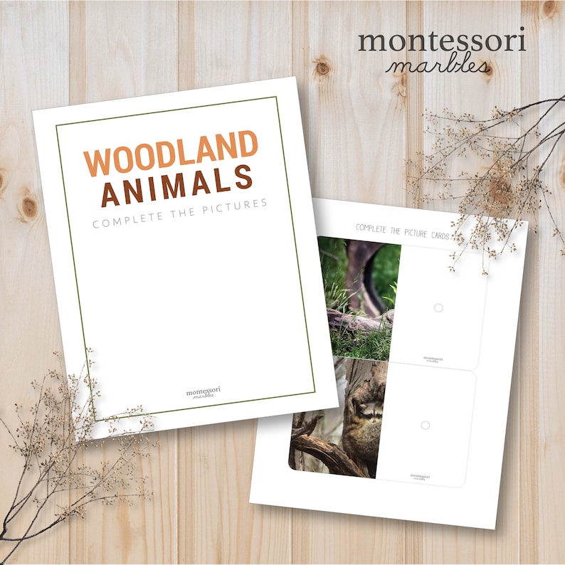 WOODLAND ANIMALS Montessori Picture Matching Activity | Etsy