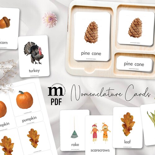 FALL Montessori Nomenclature Cards Autumn Flash Cards - Etsy