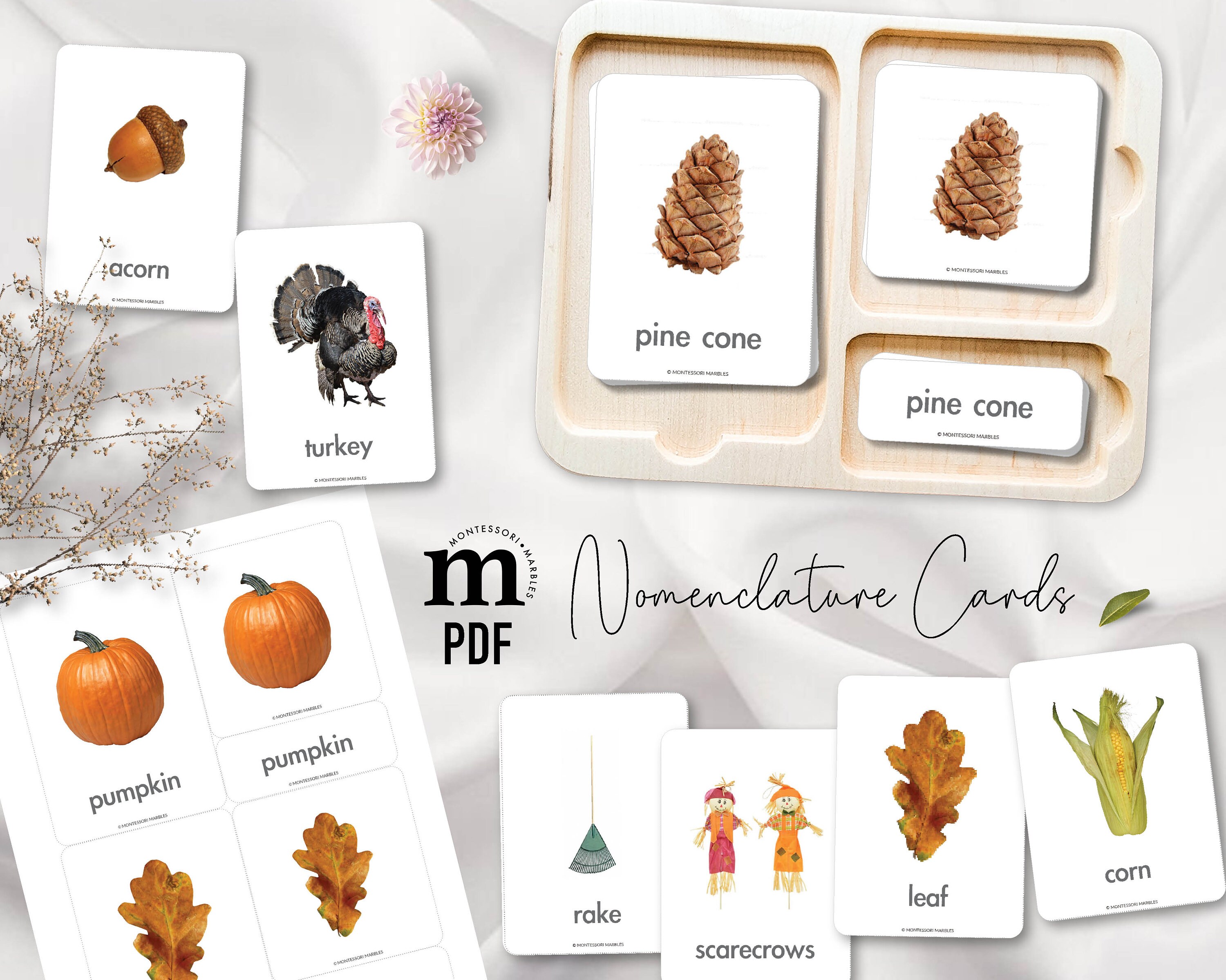FALL Montessori Nomenclature Cards Autumn Flash Cards - Etsy