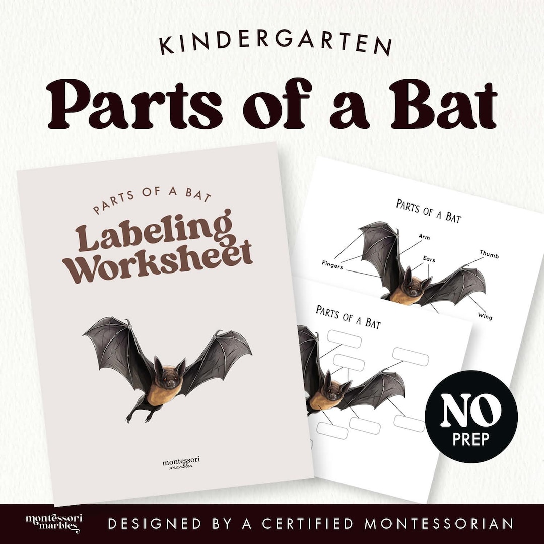Bat Anatomy Diagram | Parts of a Bat Worksheet | Montessori Science ...