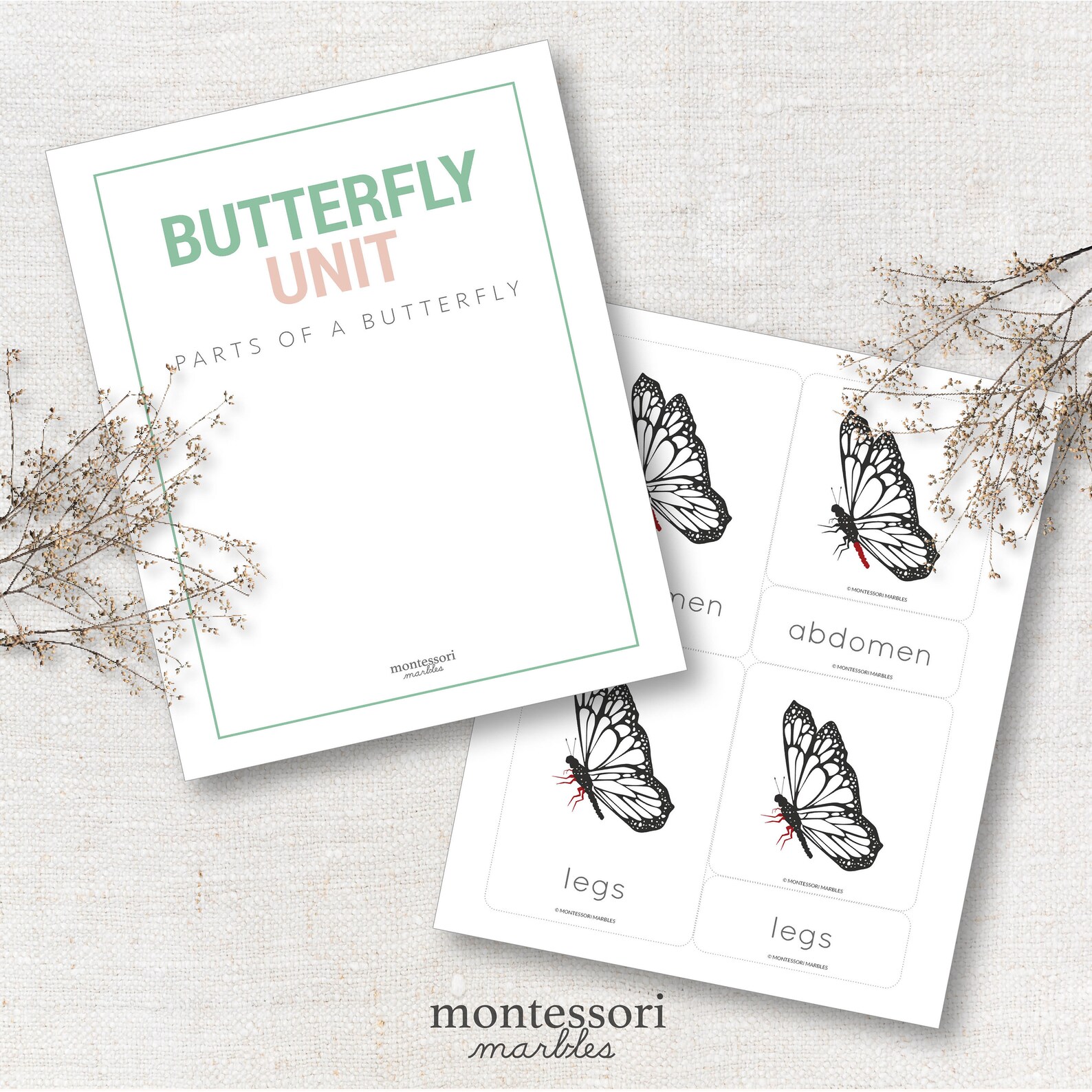 Parts of a Butterfly Montessori Nomenclature Cards - Etsy