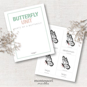 Parts of a Butterfly Montessori Nomenclature Cards - Etsy