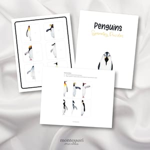 Penguins Two-piece Puzzles | Montessori Science | Symmetry Matching ...
