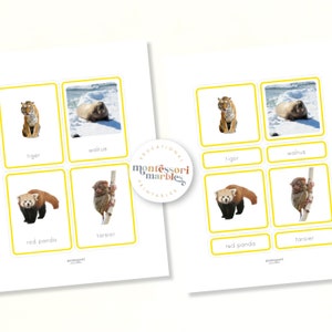 ANIMALS OF ASIA Montessori Nomenclature Cards | Nature-based Learning ...