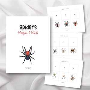 SPIDERS Magnifying Matching Game Montessori at Home Using Magnifying ...