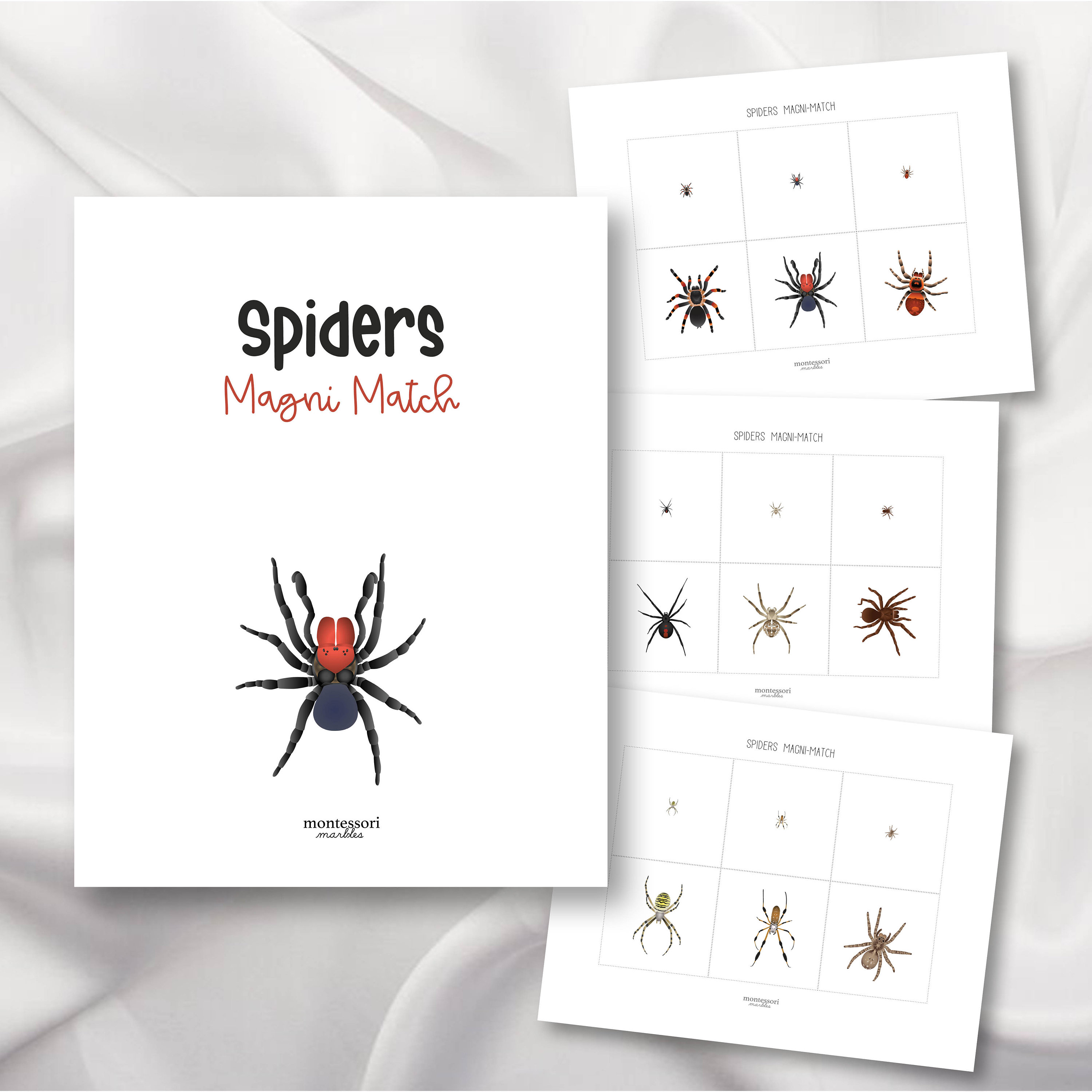 SPIDERS Magnifying Matching Game Montessori at Home Using Magnifying ...