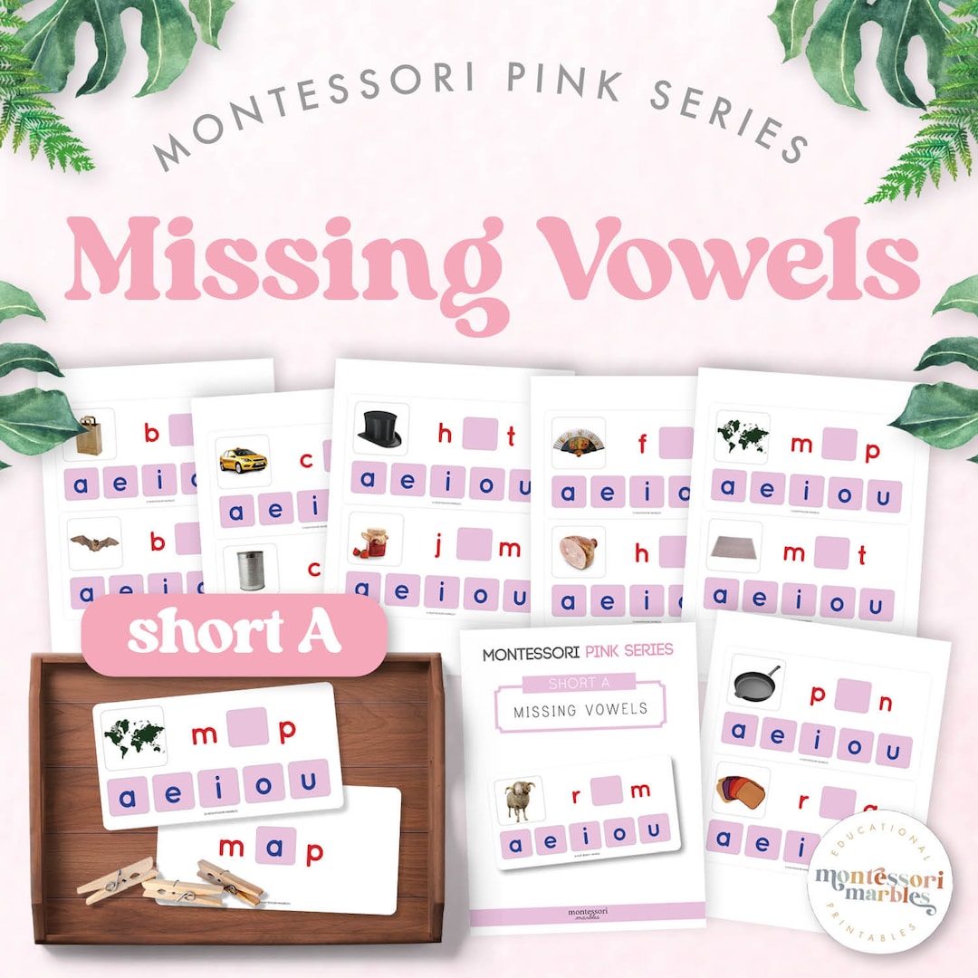Pink Series Missing Vowel Short A Worksheet | Montessori Language ...