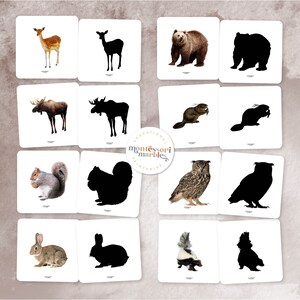 WOODLAND ANIMALS Shadow Matching | Montessori Inspired Silhouette ...