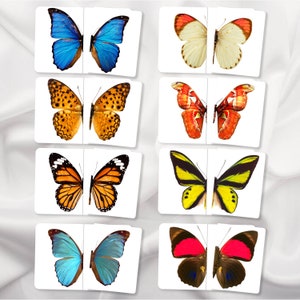 BUTTERFLY Symmetry Puzzles Montessori Inspired Visual - Etsy