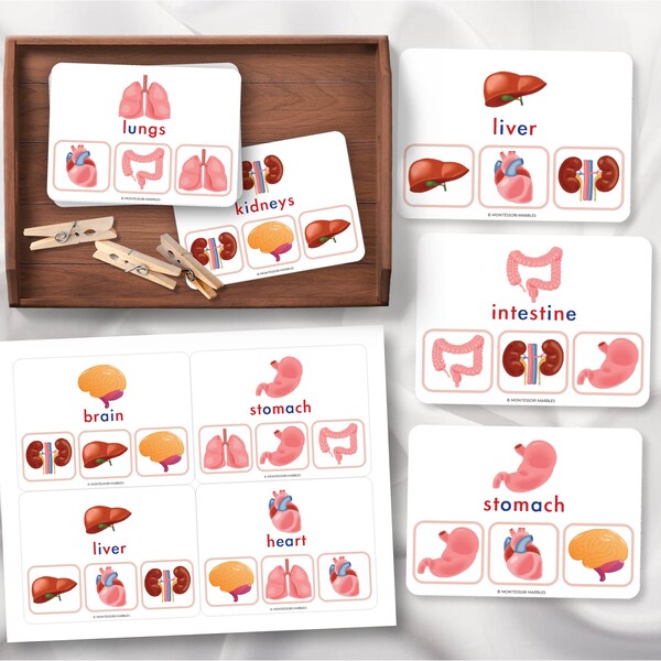 Human Body Puzzle - Etsy