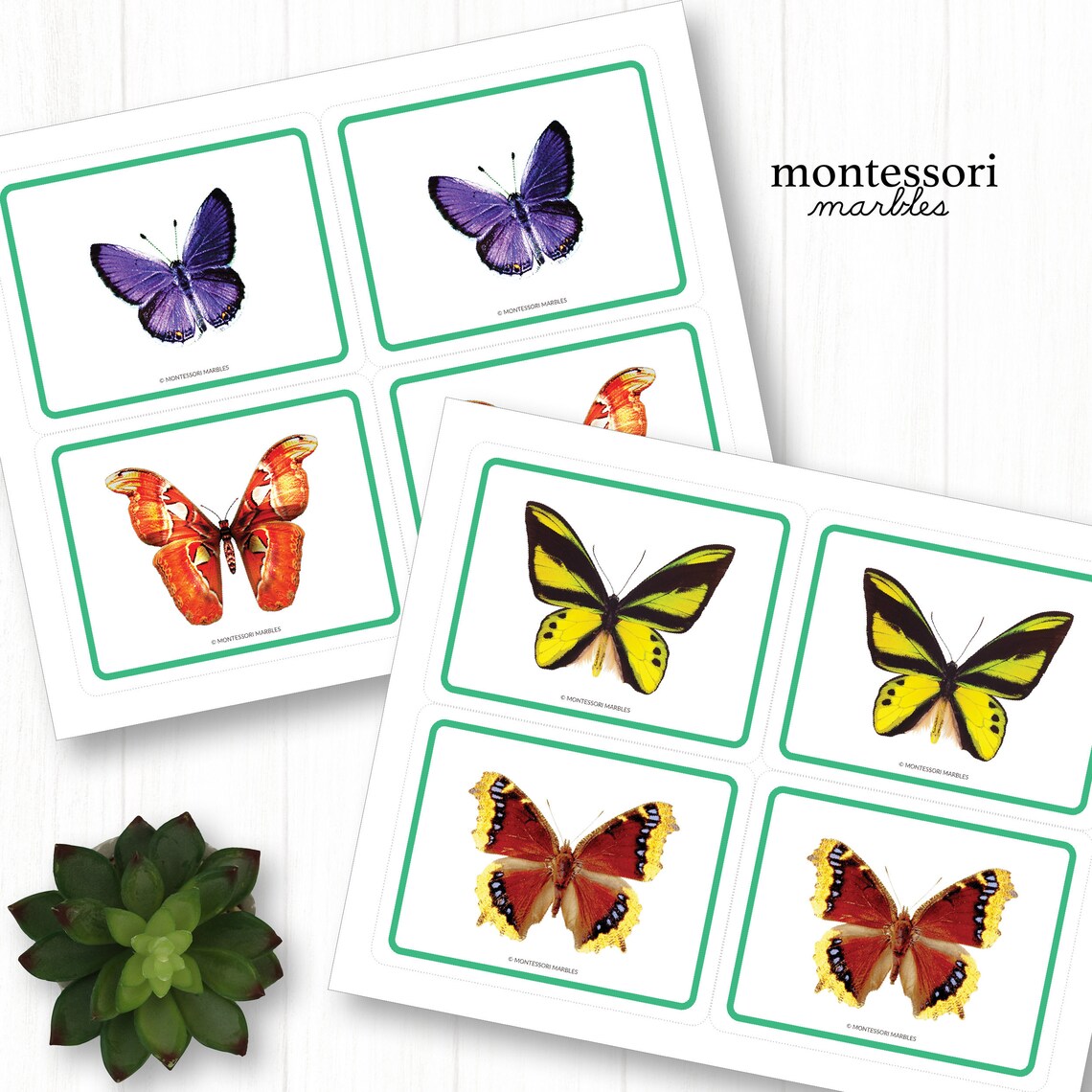 Butterfly Matching Activities for Preschool and Kindergarten | Etsy
