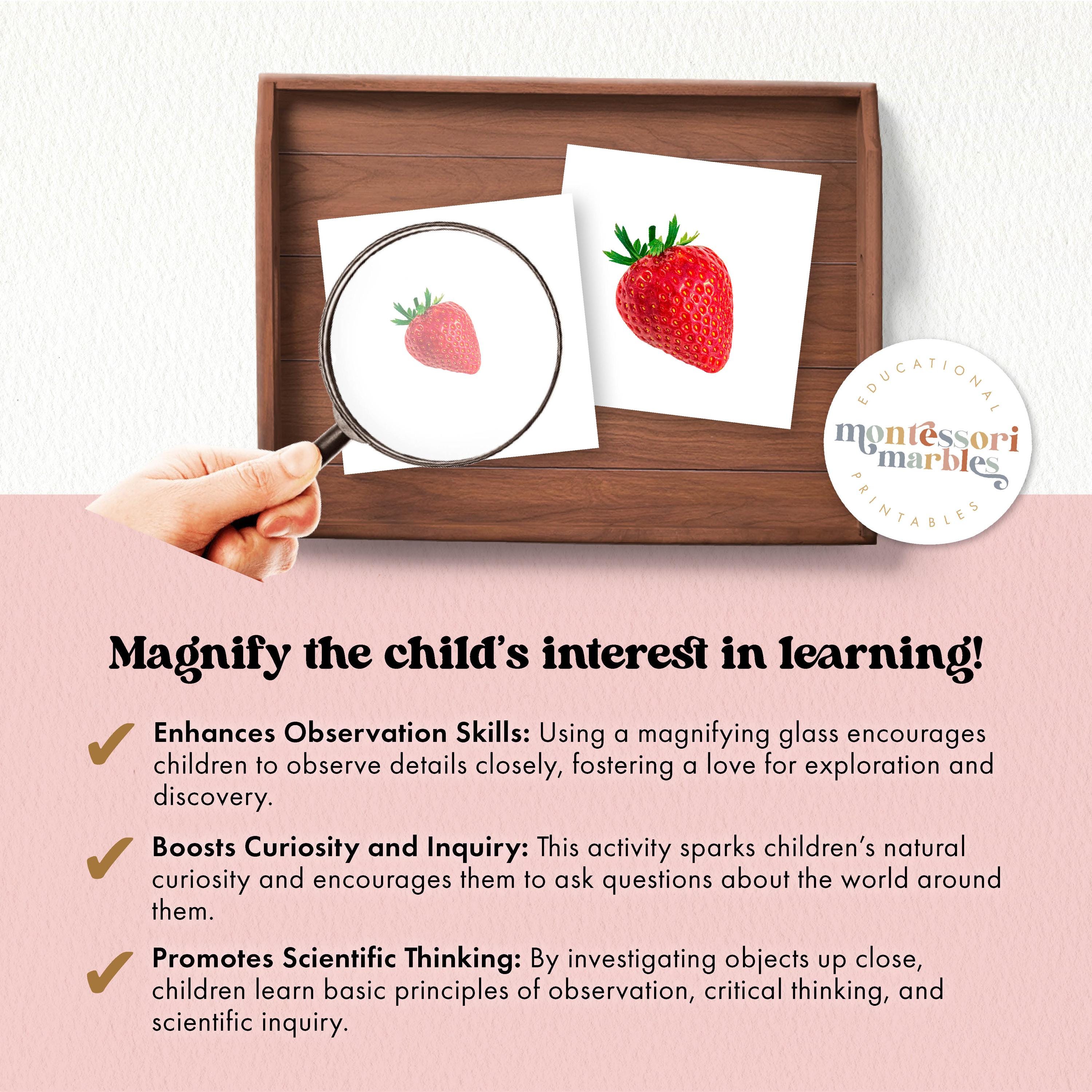 Fruits Magnifying Matching Game | Montessori Learning | Visual ...