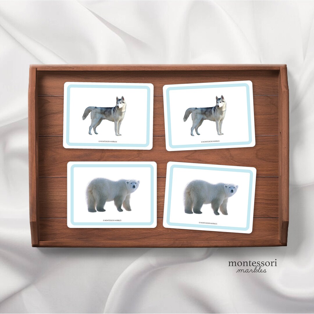 POLAR ANIMALS Picture Matching Cards Montessori Inspired - Etsy