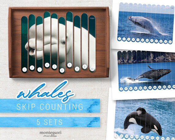 WHALES Skip Counting by 2s 3s 5s and 10s Early Math Math | Etsy