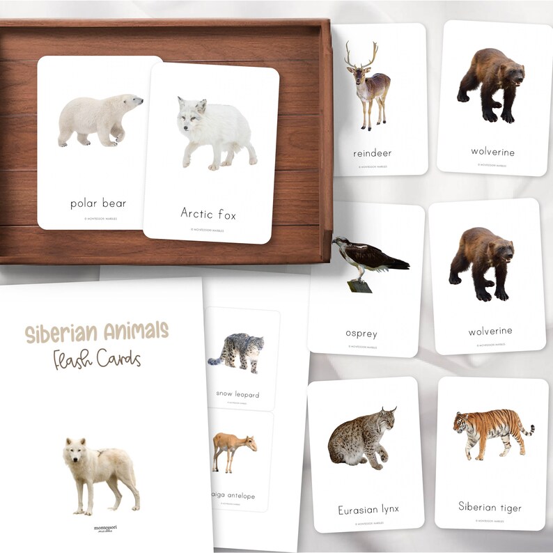 Siberian Animals Flash Cards | 16 Species Real Photos | Montessori Ages ...
