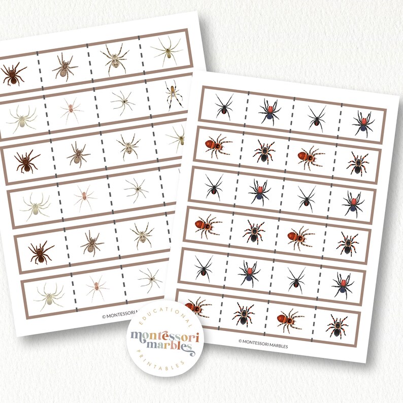 Spiders Cutting Strips | Scissor Practice Fine Motor Skills | Ages 2-5 ...