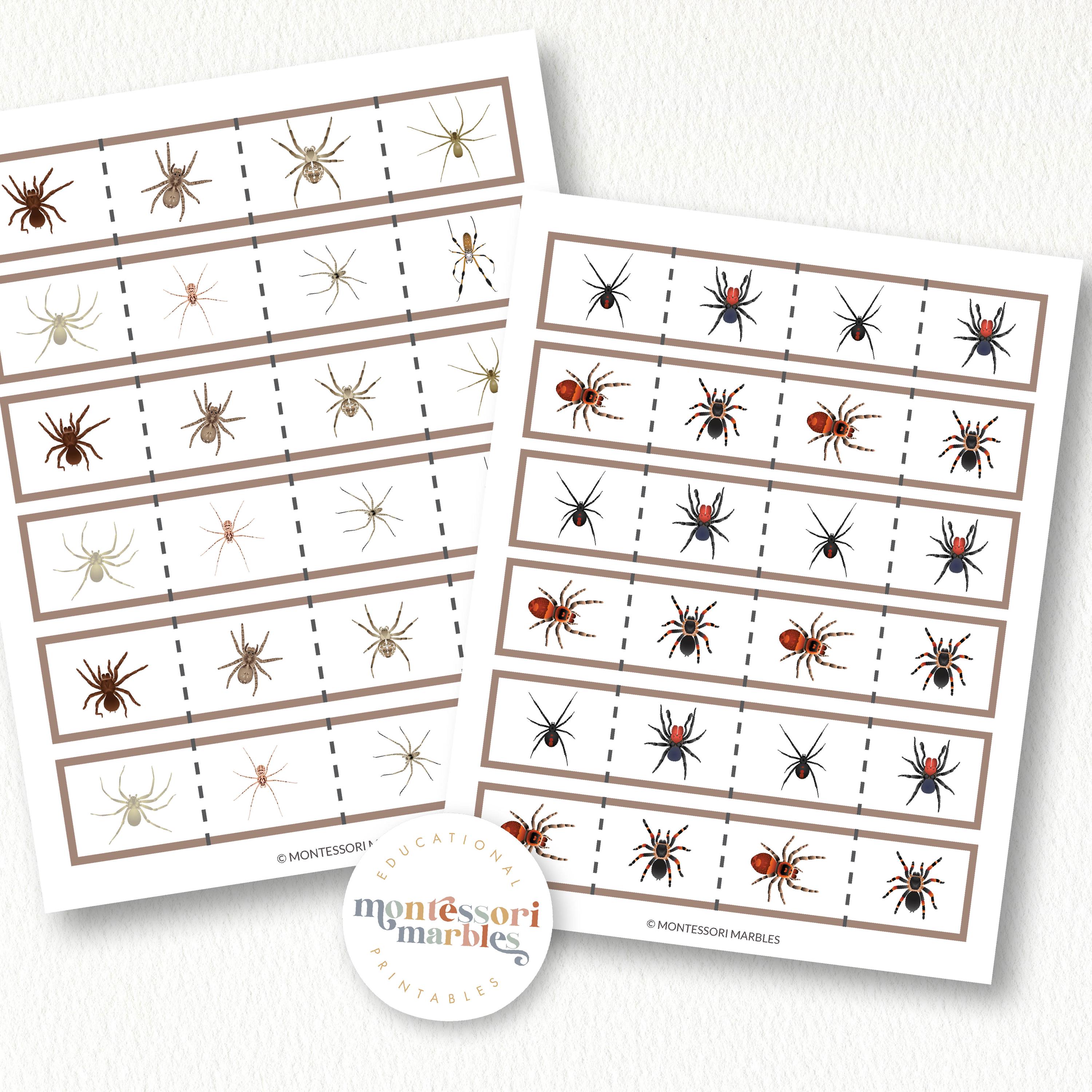 Spiders Cutting Strips | Scissor Practice Fine Motor Skills | Ages 2-5 ...