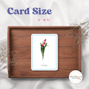 EASTER Flash Cards, Montessori Inspired Printable Vocabulary Cards for ...