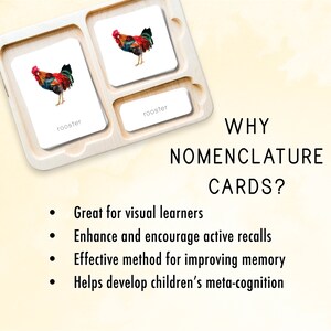 FARM ANIMALS Montessori Nomenclature Cards, Montessori Homeschool Prek ...