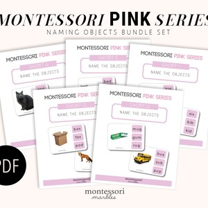 BUNDLE PACK Montessori Pink Series Name the Objects Short A,E,I,O,U ...