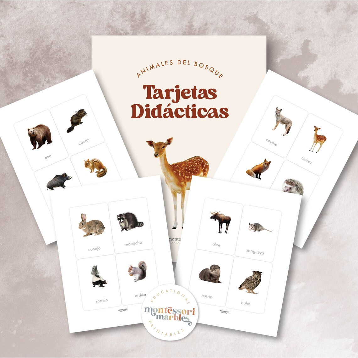 Animales Del Bosque Tarjetas | Spanish Forest Animals | Montessori ...
