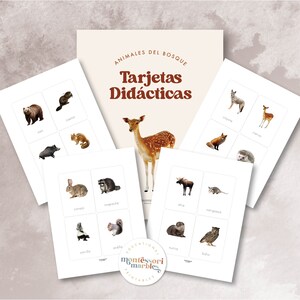 ANIMALES DEL BOSQUE Tarjetas Didácticas | Woodland Animals | Spanish ...