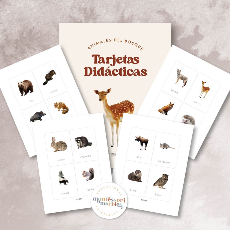 Animales Del Bosque Tarjetas | Spanish Forest Animals | Montessori ...