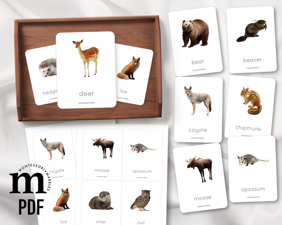 WOODLAND ANIMALS Flash Cards Montessori Inspired Printable - Etsy.de