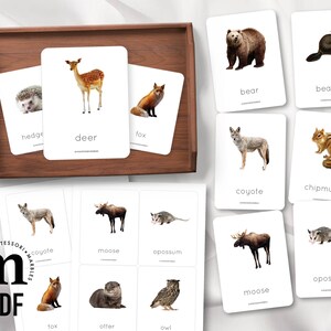 WOODLAND ANIMALS Flash Cards Montessori Inspired Printable - Etsy