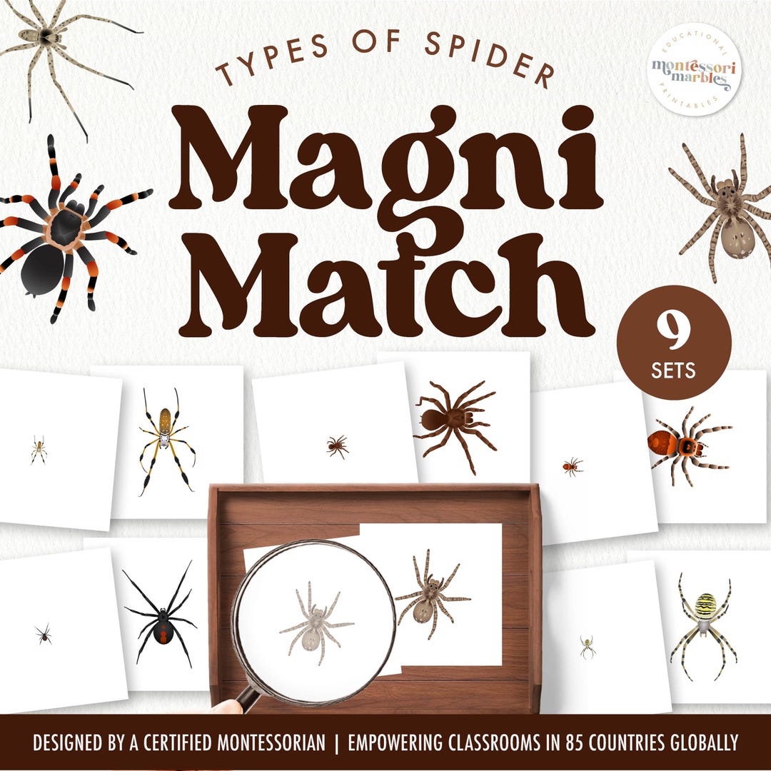 SPIDERS Magnifying Matching Game | Montessori at Home Using Magnifying ...