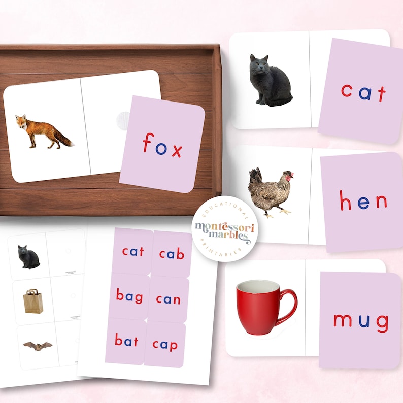 Pink Series Reading Cards | Montessori Language | CVC Words Early ...