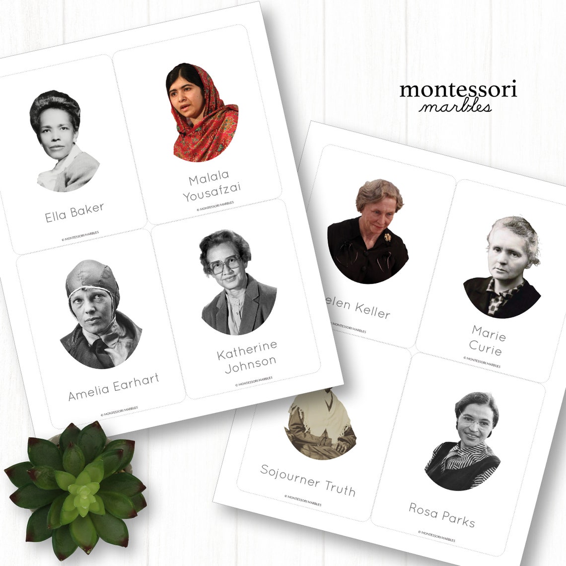 WOMEN'S HISTORY MONTH Flash Cards Printable for | Etsy